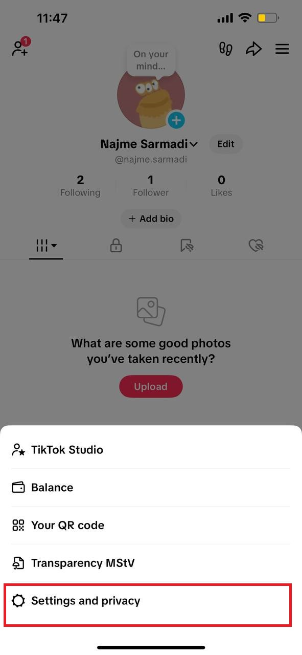 Does TikTok Notify Screenshots: All You Need to Know